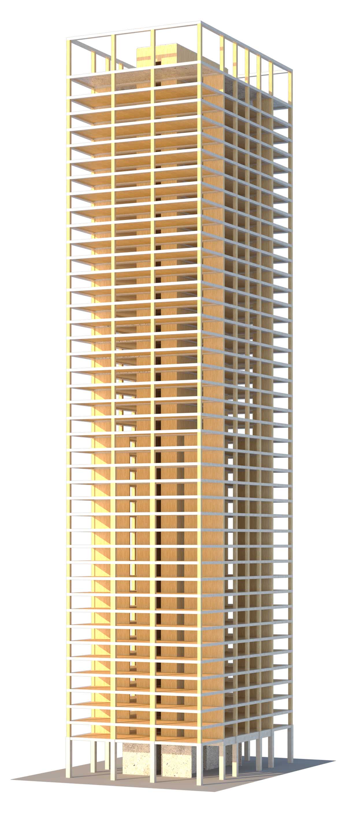 SOM releases Timber Tower Research Project