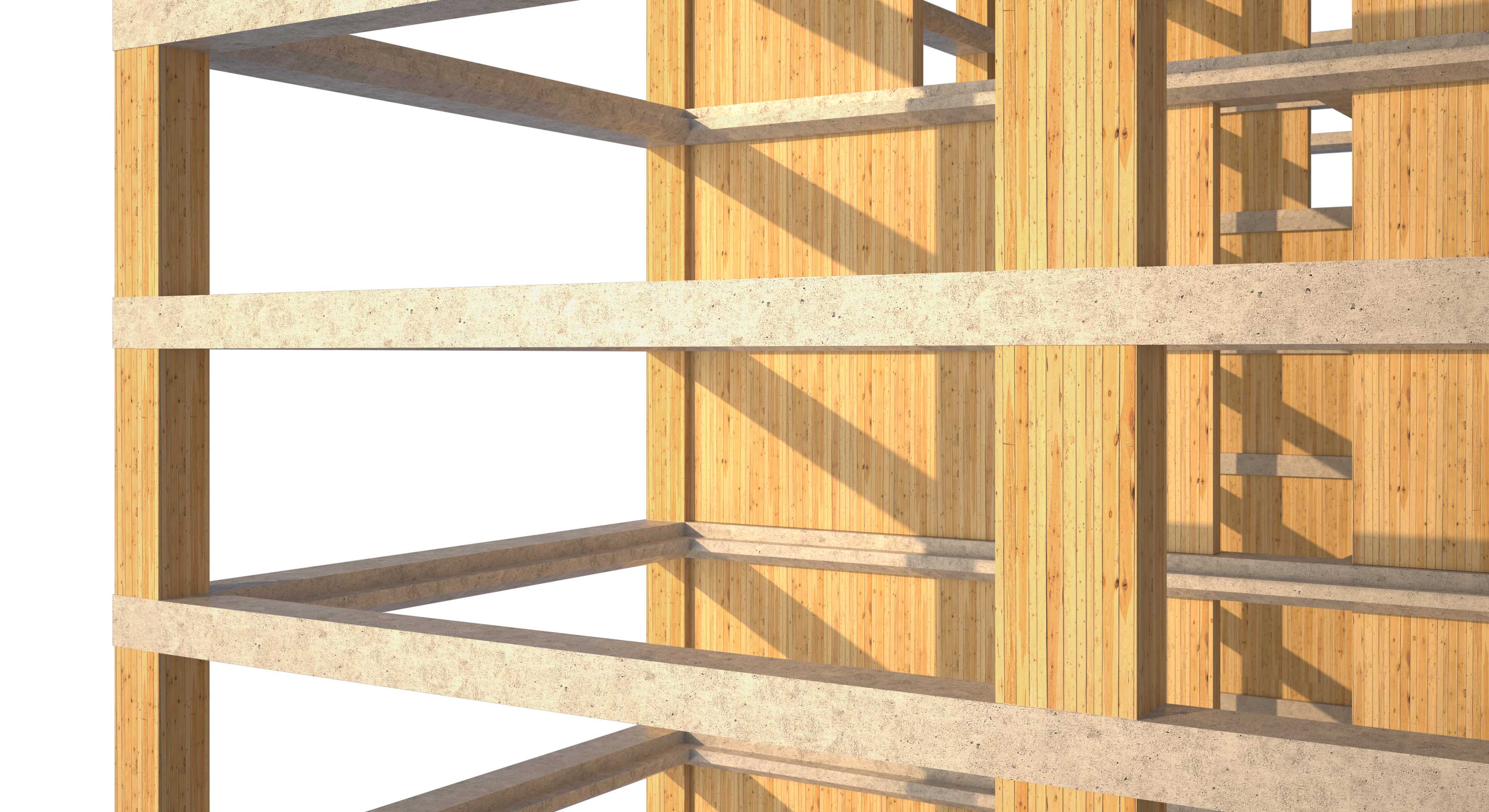 SOM releases Timber Tower Research Project