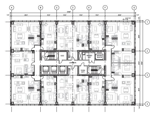 SOM releases Timber Tower Research Project