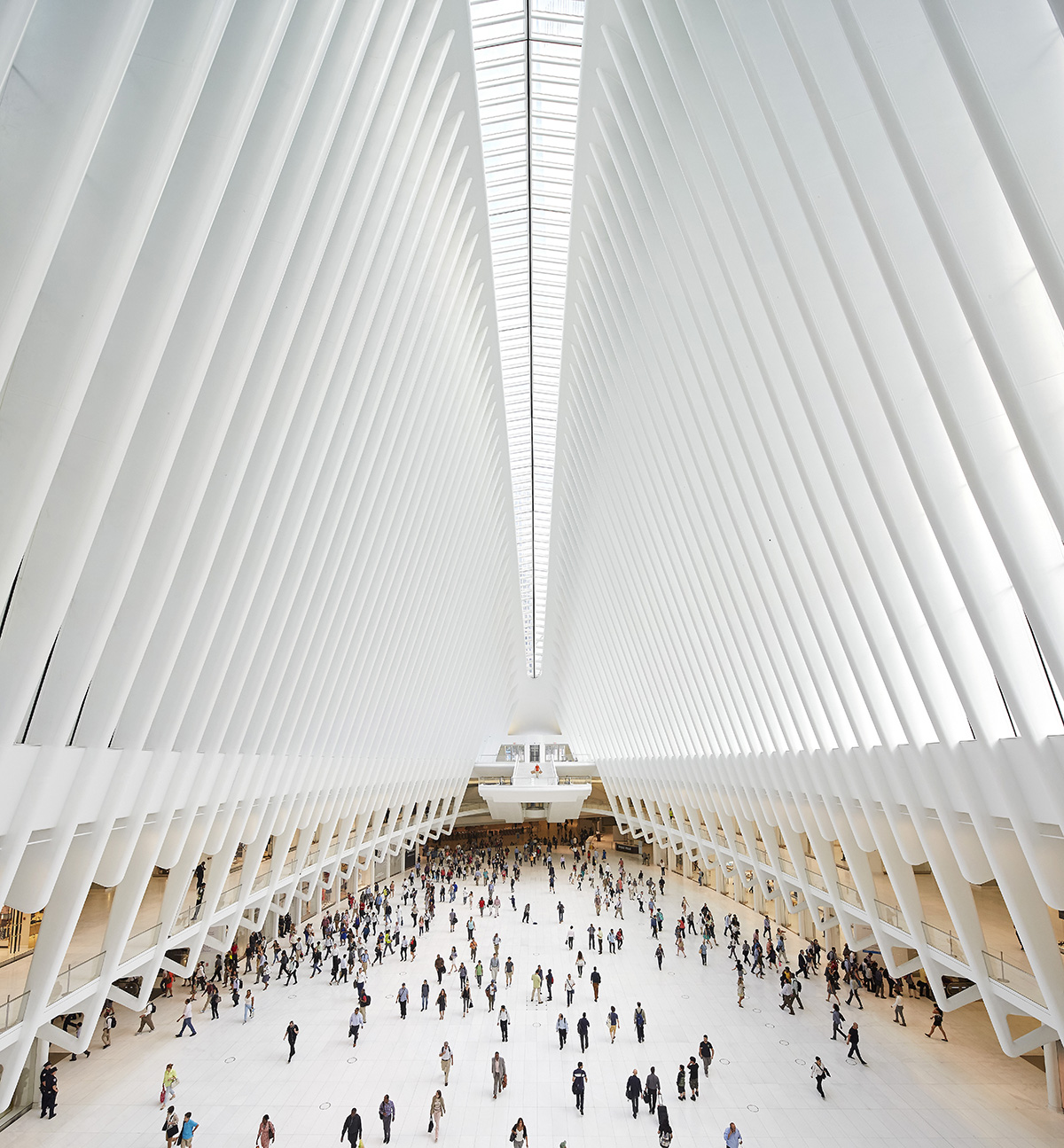 Santiago Calatrava's sculptural Oculus WTC in New York Santiago Calatrava's sculptural Oculus WTC in New York