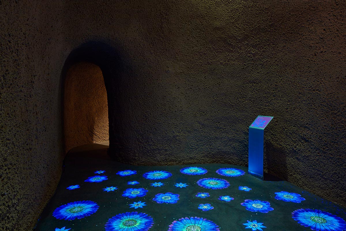 Montreal Insectarium features "immersive sensory labyrinth experience ...