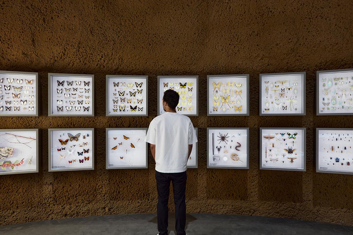 Montreal Insectarium features "immersive sensory labyrinth experience ...