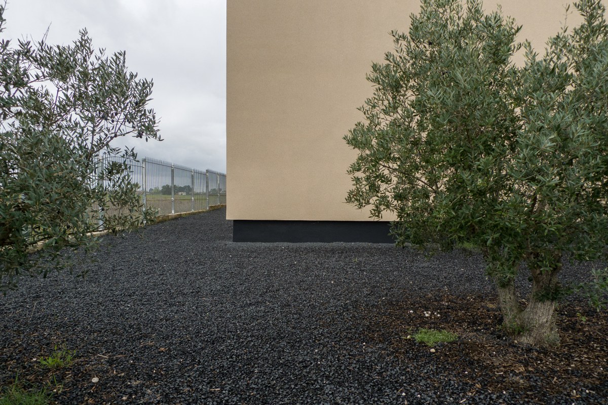 A powder-colored opaque box hides a private collection of mechanical ...