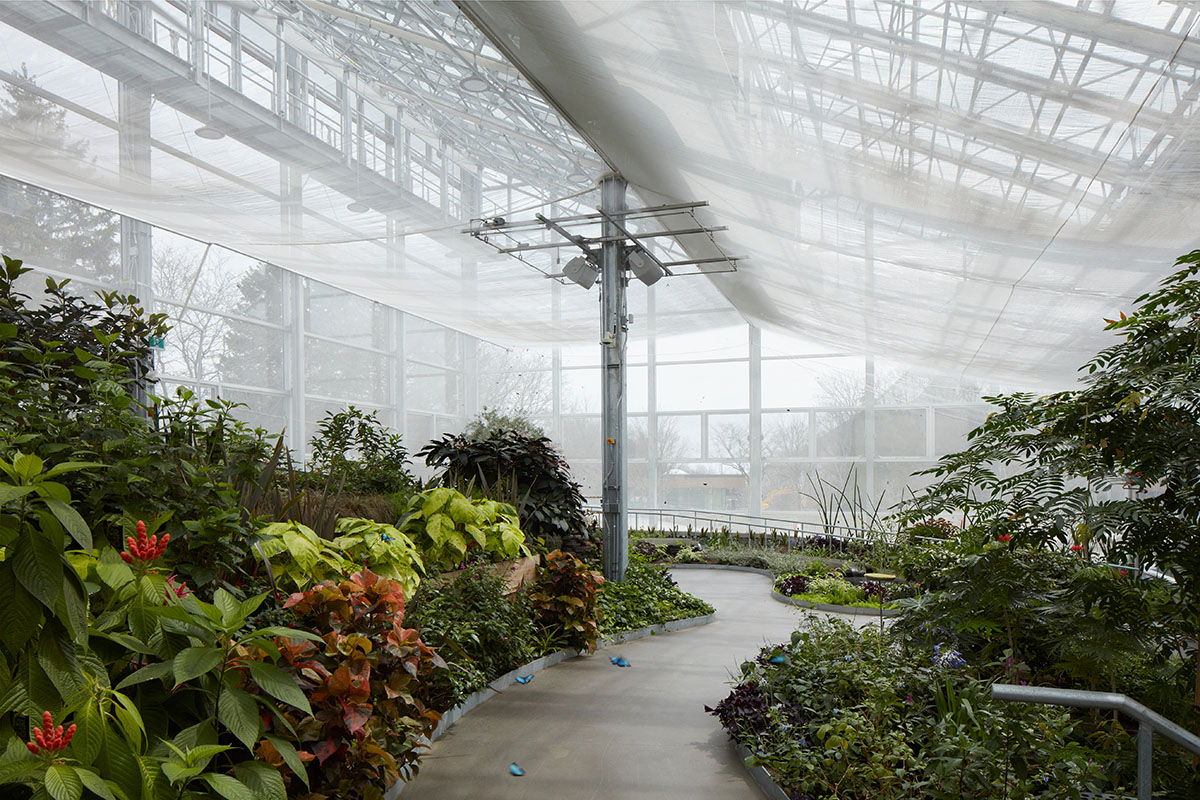 Montreal Insectarium features "immersive sensory labyrinth experience ...
