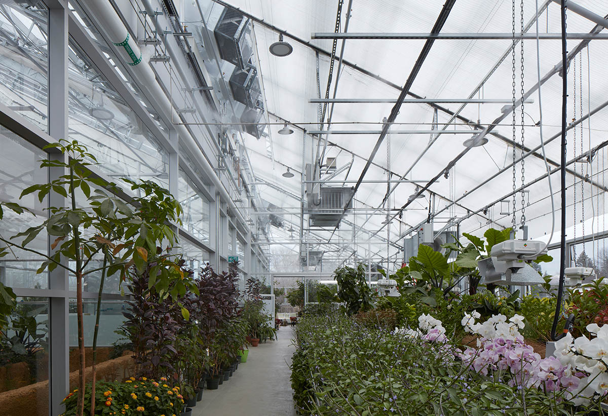 Montreal Insectarium features "immersive sensory labyrinth experience ...