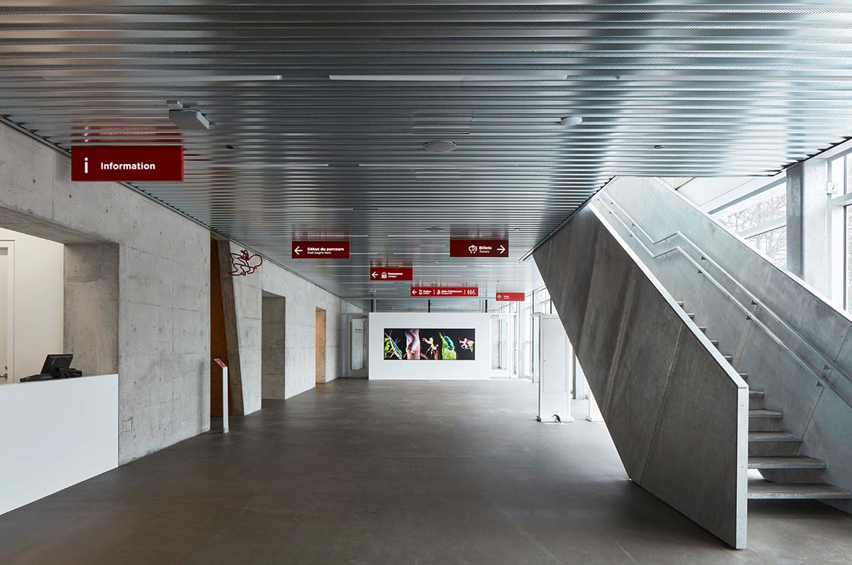 Montreal Insectarium features "immersive sensory labyrinth experience ...