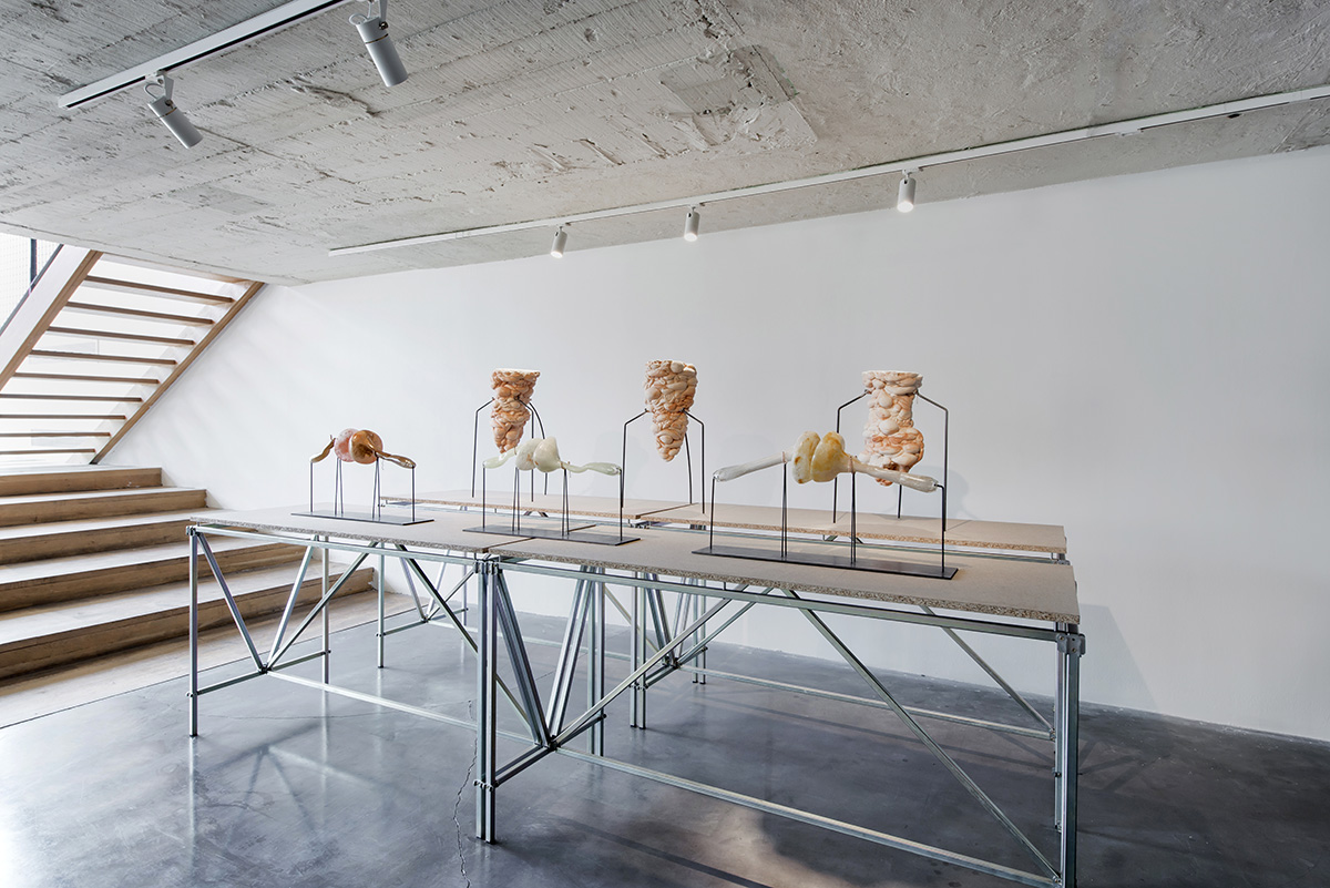 Carlos Monleón reveals "A Colloquy of Vessels for "Digestion School" at ...
