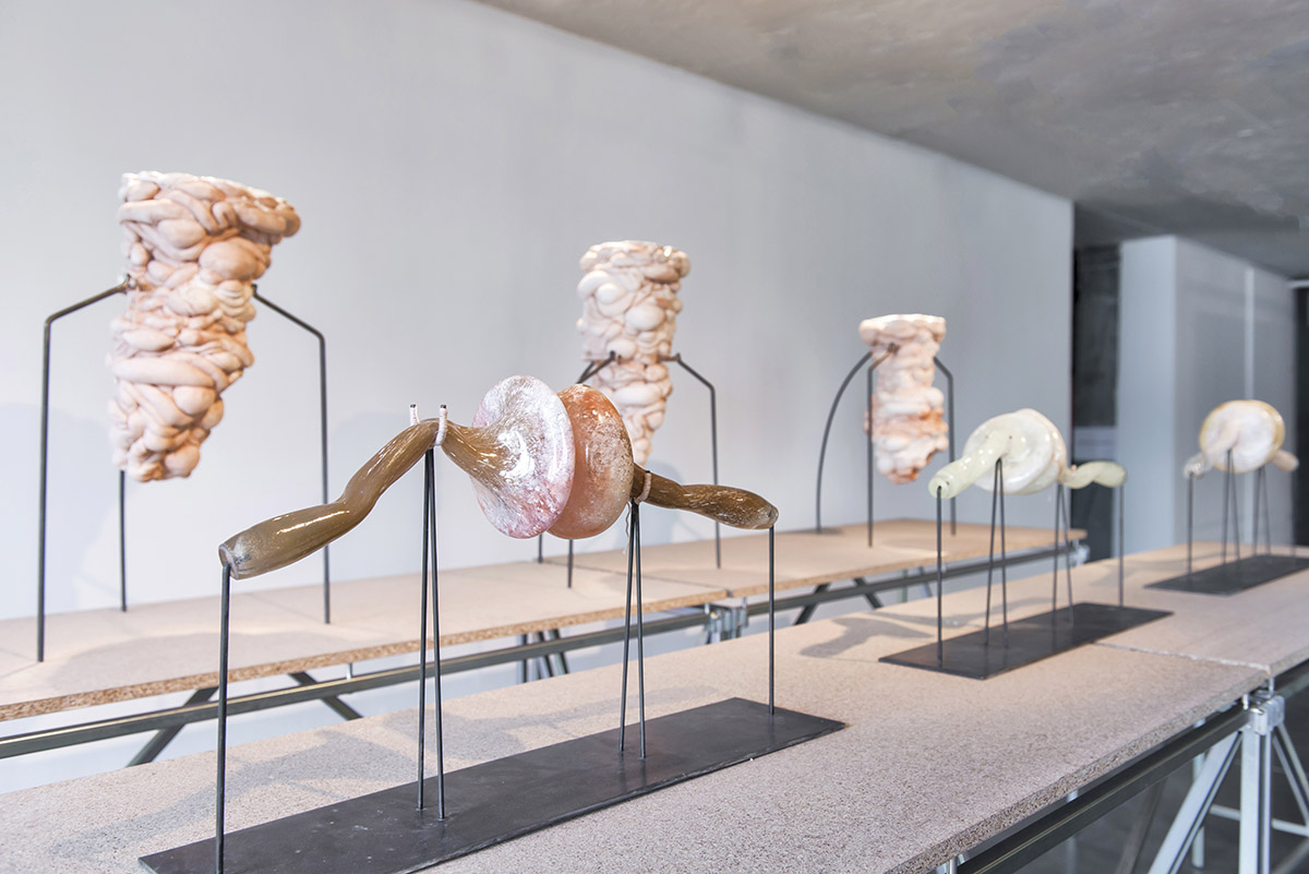 Carlos Monleón reveals "A Colloquy of Vessels for "Digestion School" at ...