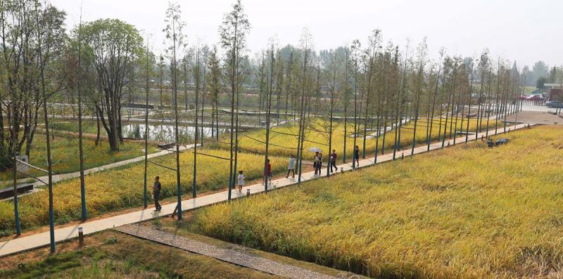 Chengtoushan Archaeological land named World Landscape of The Year 2017