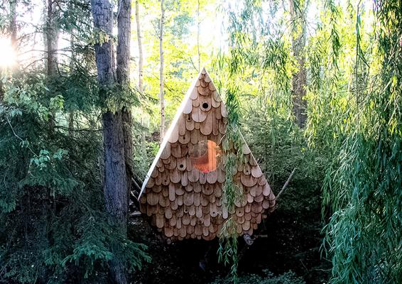 Studio North's Bird Hut not only serves for local birds but also for ...