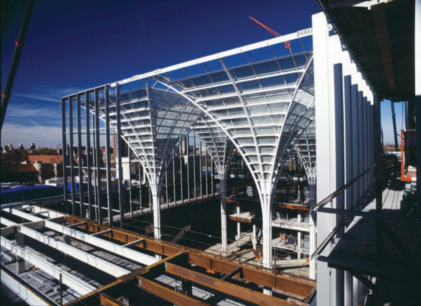 University Of Chicago Graduation