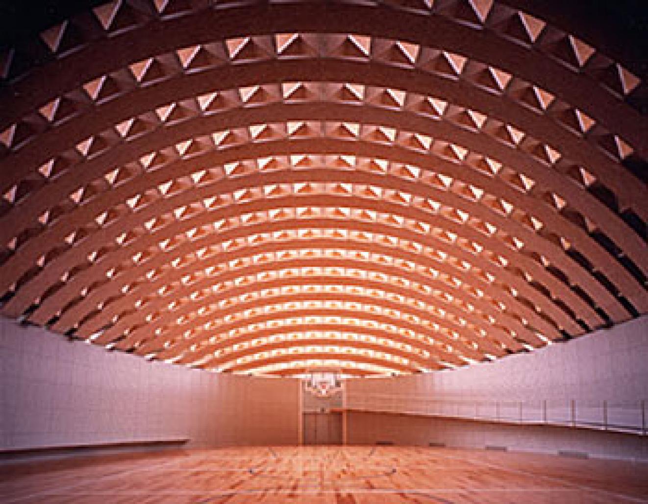 Plywood structure Gymnasium