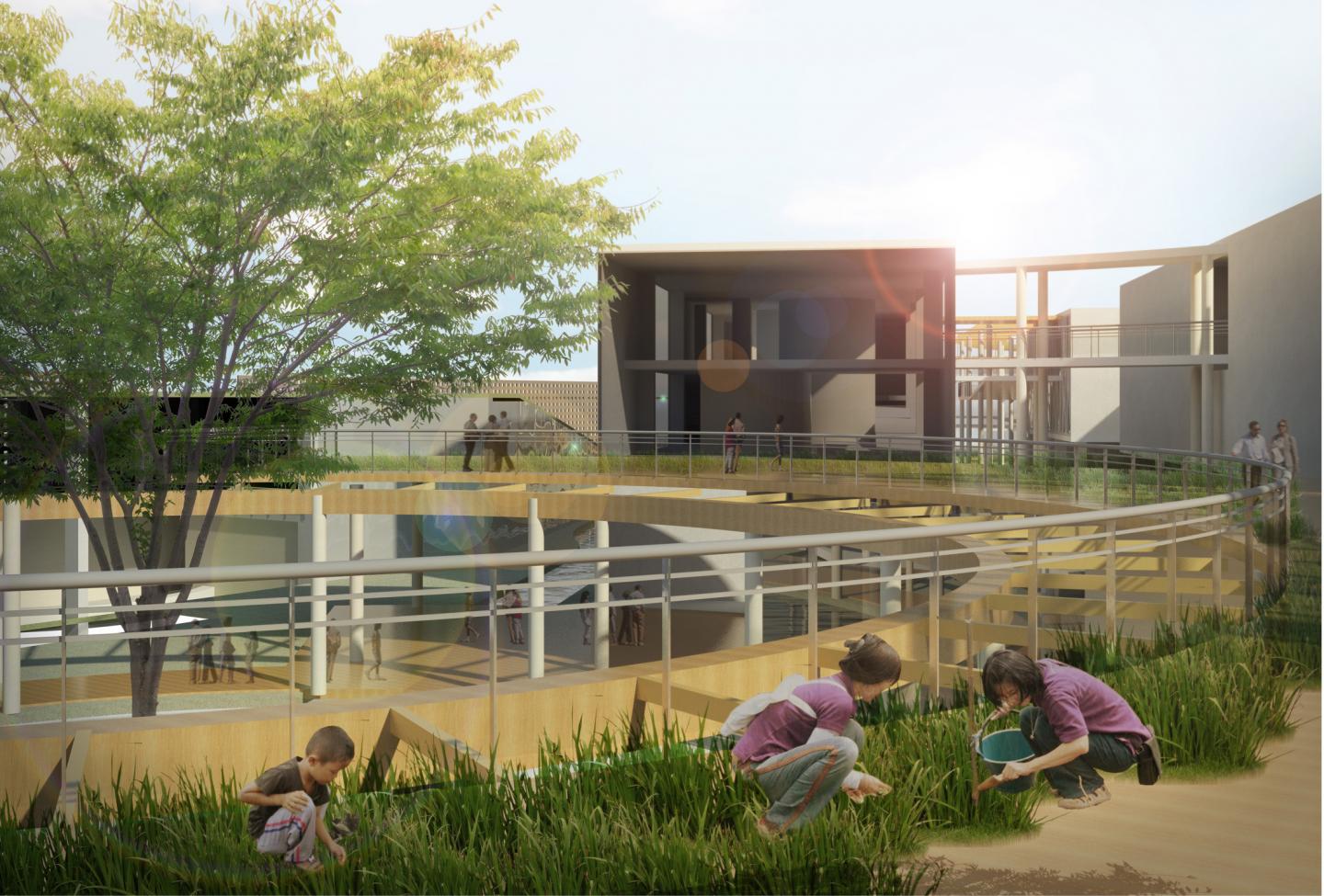 Forest and Wildlife Learning Center