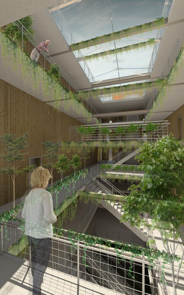 GRID ARCHITECTURE: COLLECTIVE HOUSING