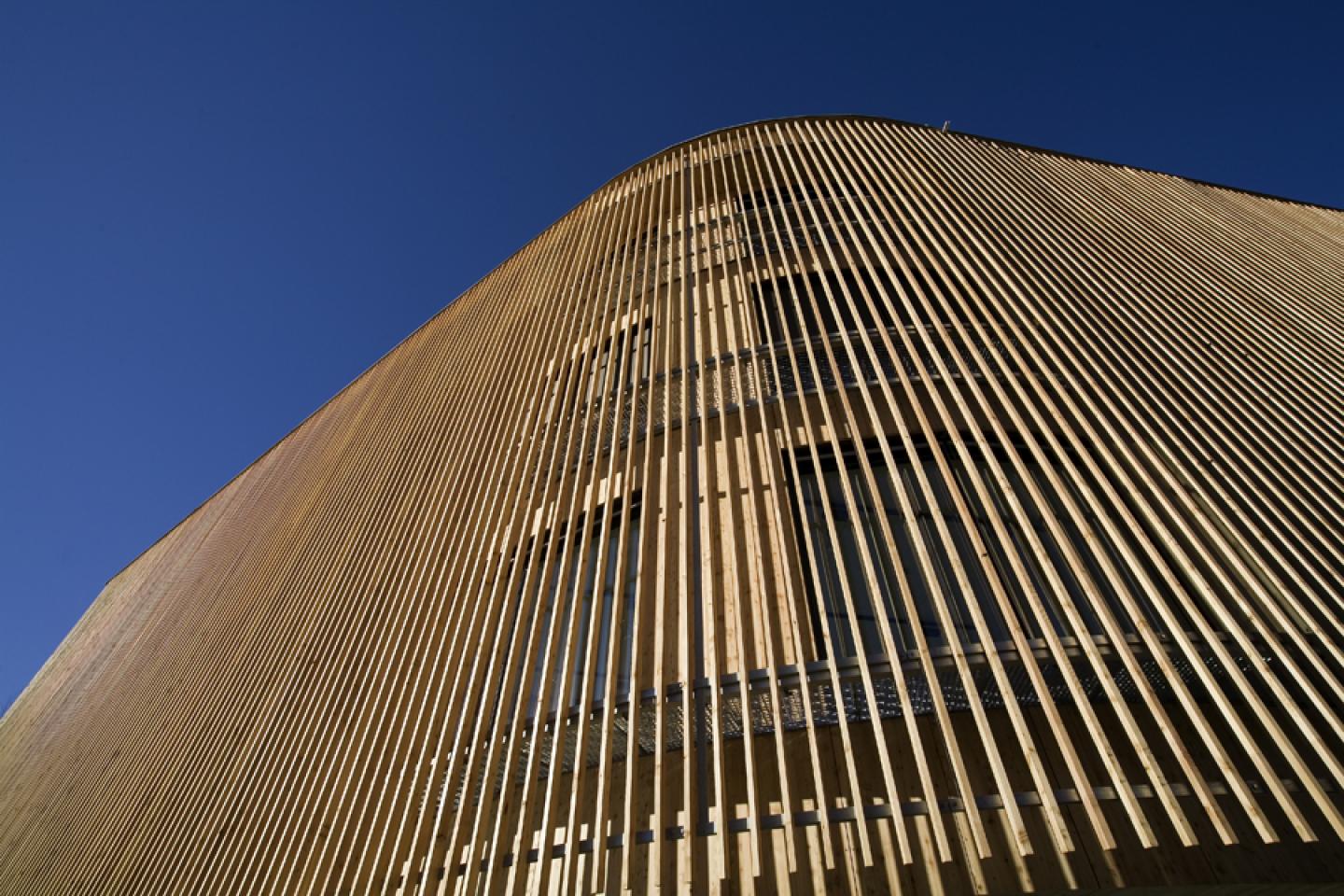 Headquarter Binder Holz