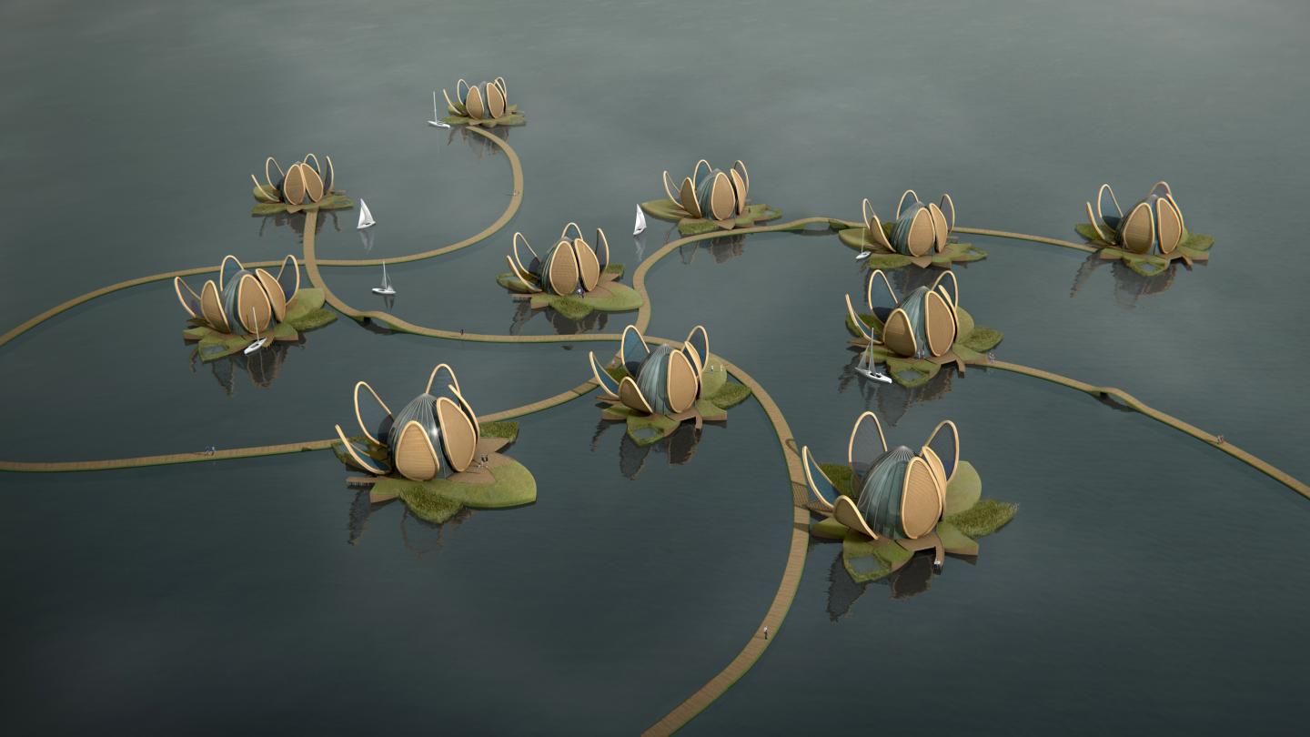 Lotus-dwelling Liyang China