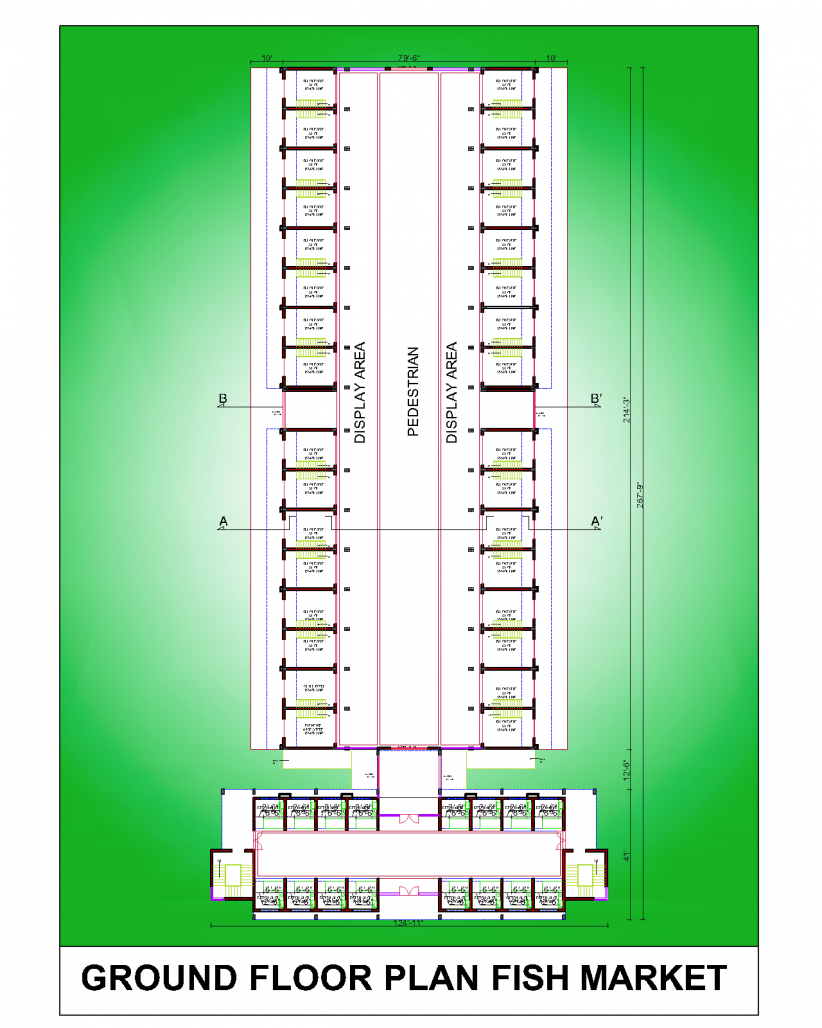 FISH MARKET, LUDHIANA, PUNJAB