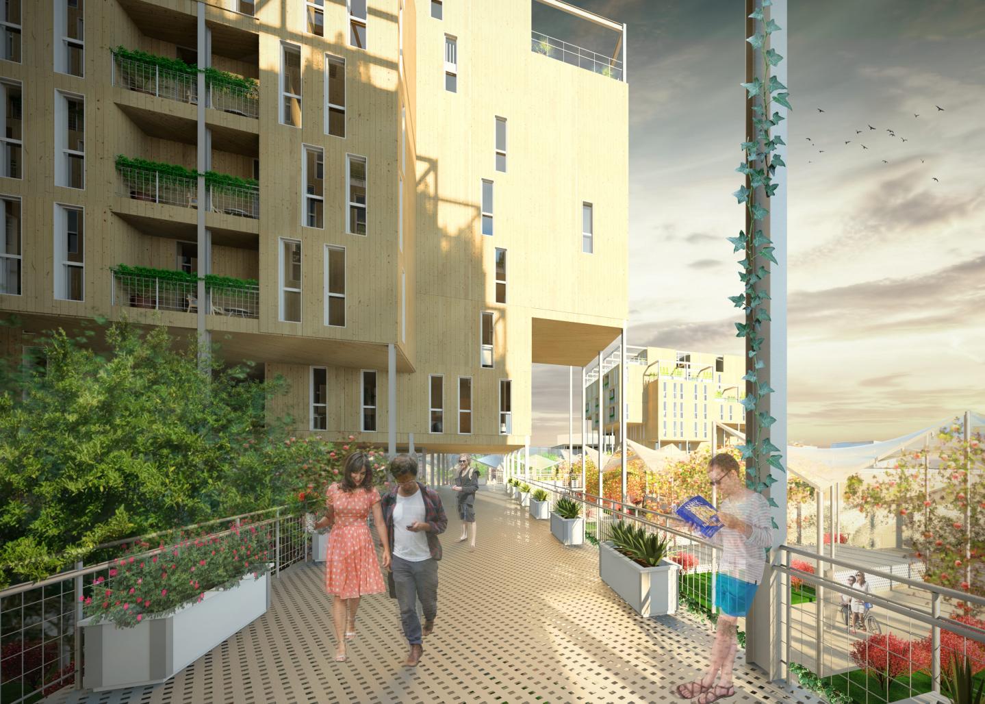 GRID ARCHITECTURE: COLLECTIVE HOUSING