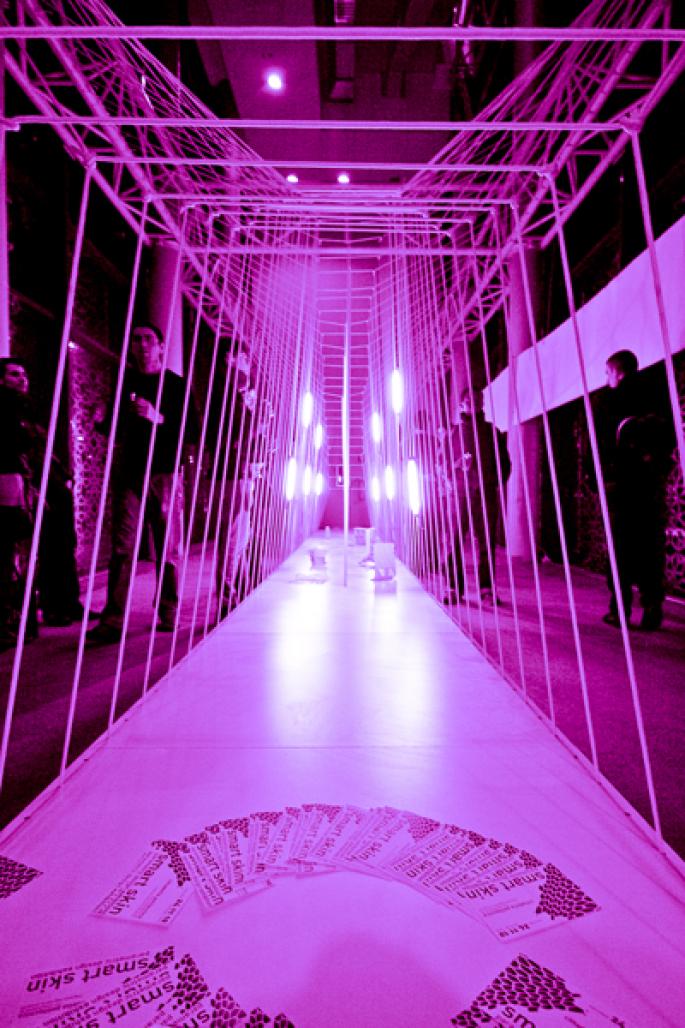 smart skin exhibition