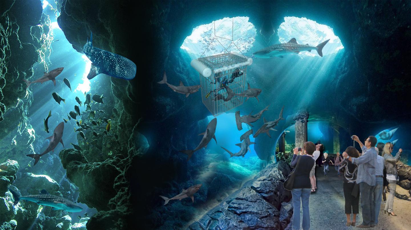 Arabian Sea Oceanarium: Place To Call Home For Marine Life