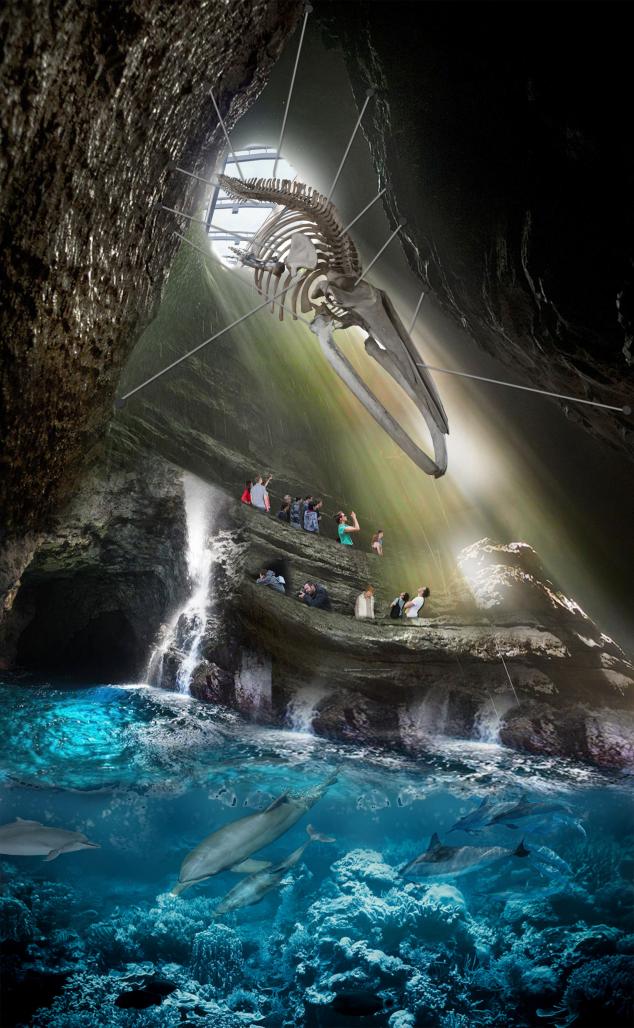 Arabian Sea Oceanarium: Place To Call Home For Marine Life