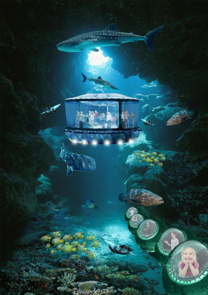Arabian Sea Oceanarium: Place To Call Home For Marine Life