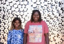 Punmu and Parnngurr Aboriginal Health Clinics