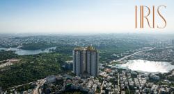 RAGHAVA - IRIS