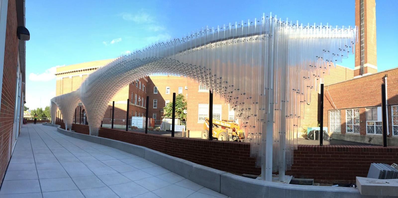 Brian Brush installs Sensory Garden Arcade in Washington by using 1,600 ...